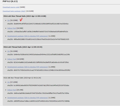 Windows IIS Server (2022) 安裝 PHP 的方法以及設定 - 雨